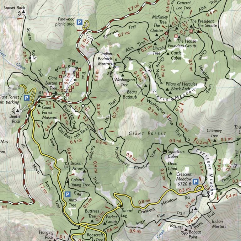 Climbing Moro Rock Trail at Sequoia National Park: What You Need to ...